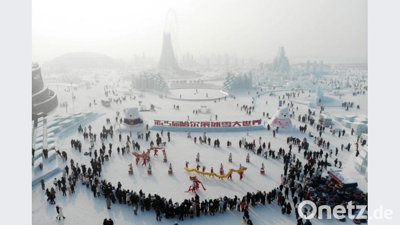 Hamburger Strafverteidiger Gerhard Strate vertritt Millionenbetrüger ...
