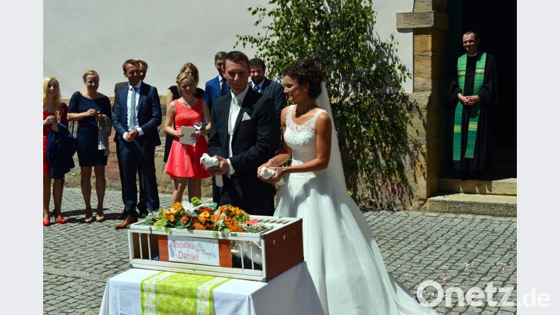 Weiße Tauben als Glücksbringer | Onetz