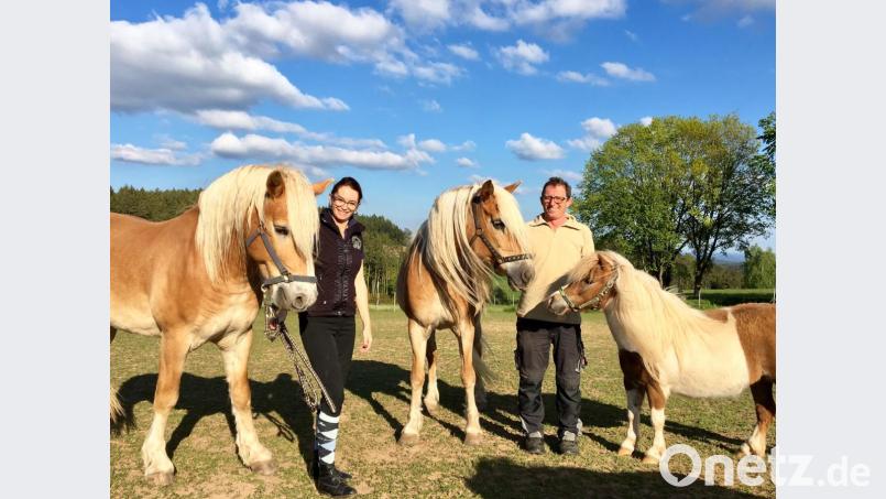 Traum von Urlaub auf dem Bauernhof: Naturhof Hainstetten entsteht | Onetz