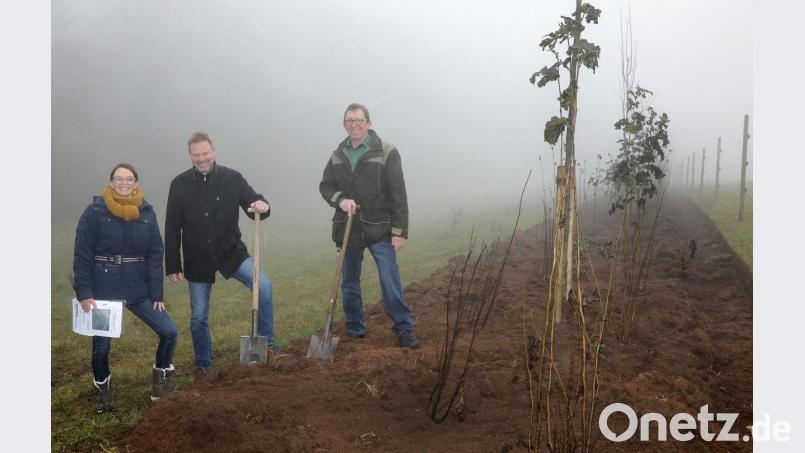 Tourismus-Projekt Hainstetten: Naturhof startet mit Ausgleichsfläche ...