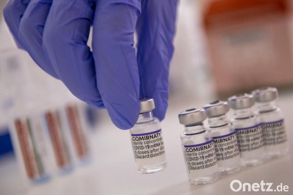 Wie Schaf "Emma" in die Kirche kam | Onetz