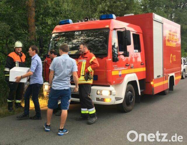 Python-Schlange auf der Straße | Onetz