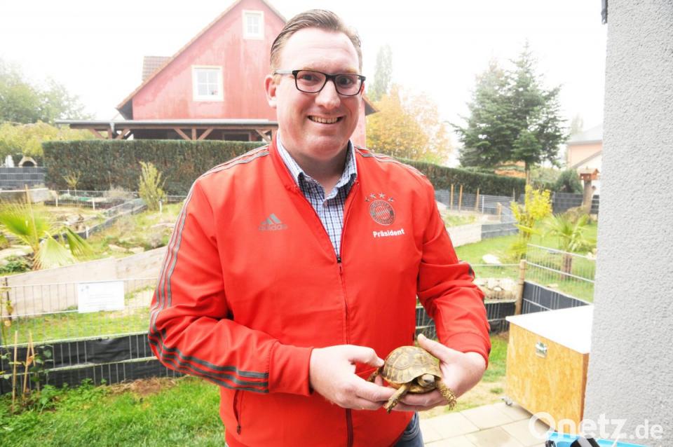 Kleine Schildkröte schlüpft trotz Frost | Onetz