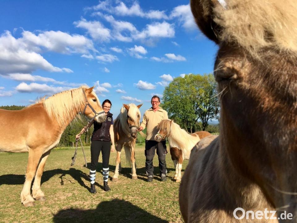 Traum von Urlaub auf dem Bauernhof: Naturhof Hainstetten entsteht | Onetz