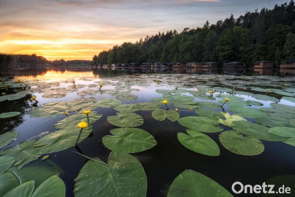 Ausstellung im Kloster Speinshart: Mit Bildern von Thomas Buchmann die ...