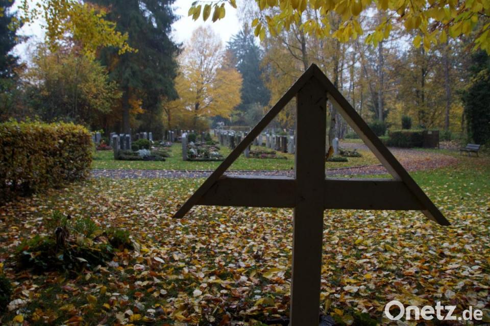 Seit 50 Jahren ein Wald des Friedens | Onetz