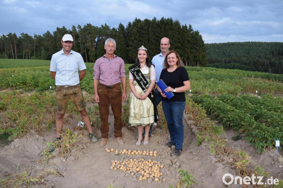 Im Trockenjahr 2022: Wenig Ertrag bei der Kartoffelernte | Onetz