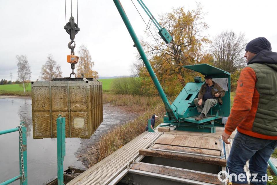 Wenn der Teichwirt den Himmelsweiher ablässt: So läuft das Abfischen in Haunritz | Onetz