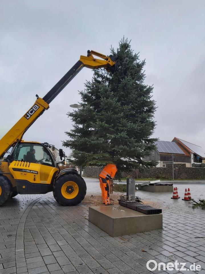 Eslarner Christbaum kommt mit dem Teleskoplader | Onetz