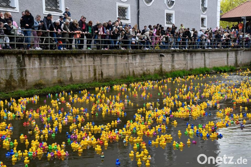 Amberger Entenrennen der Rekorde: 7000 Plastik-Tiere schwimmen in der ...