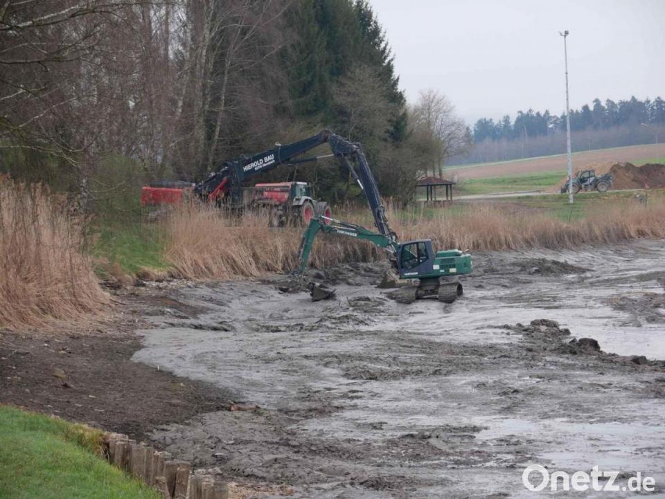 Bagger schaufeln tonnenweise Schlamm aus Eslarner Atzmannsee | Onetz