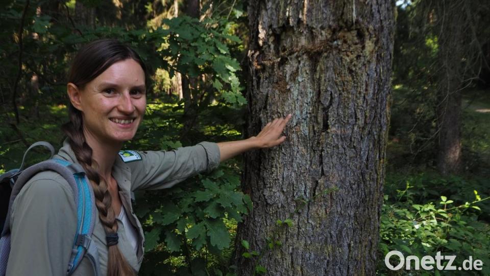 Traumberuf Rangerin: Anna Spiller weiß, was im Naturpark fasziniert | Onetz