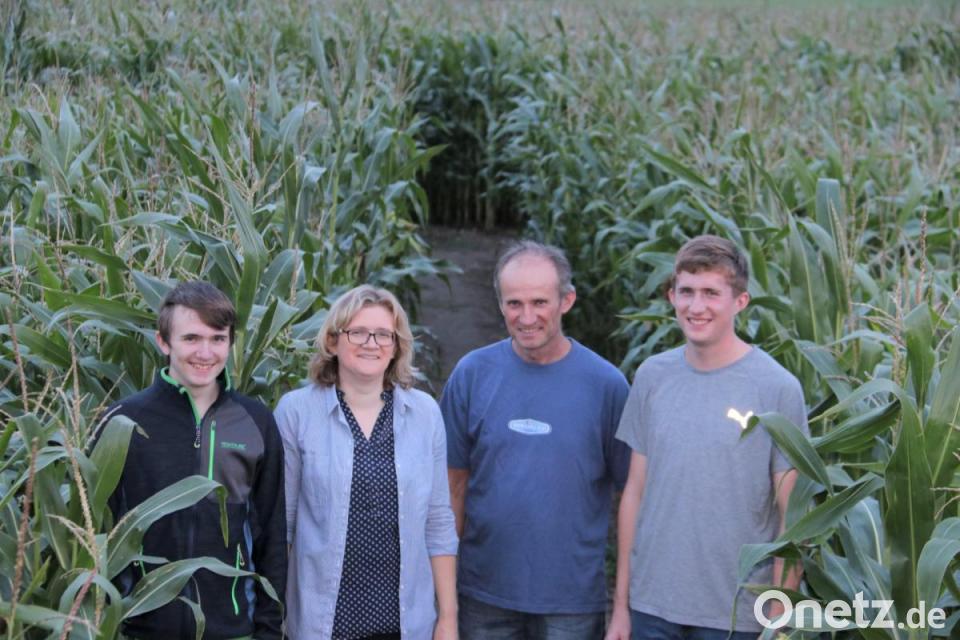 Maislabyrinth in Fensterbach öffnet | Onetz