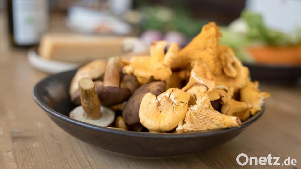 Pilzsaison startet: Rezept für Waldpilzrisotto | Onetz