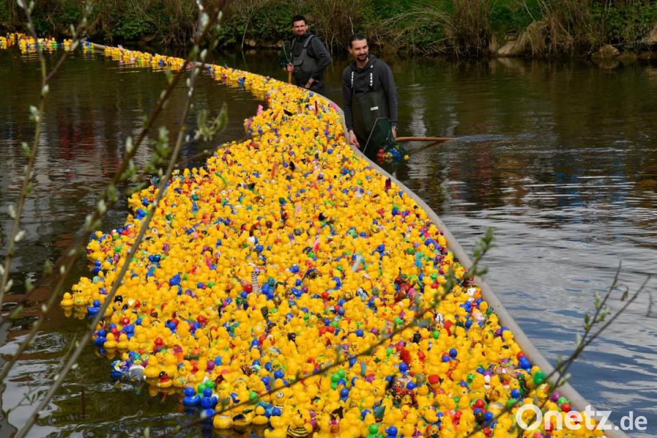 Amberger Entenrennen der Rekorde: 7000 Plastik-Tiere schwimmen in der ...