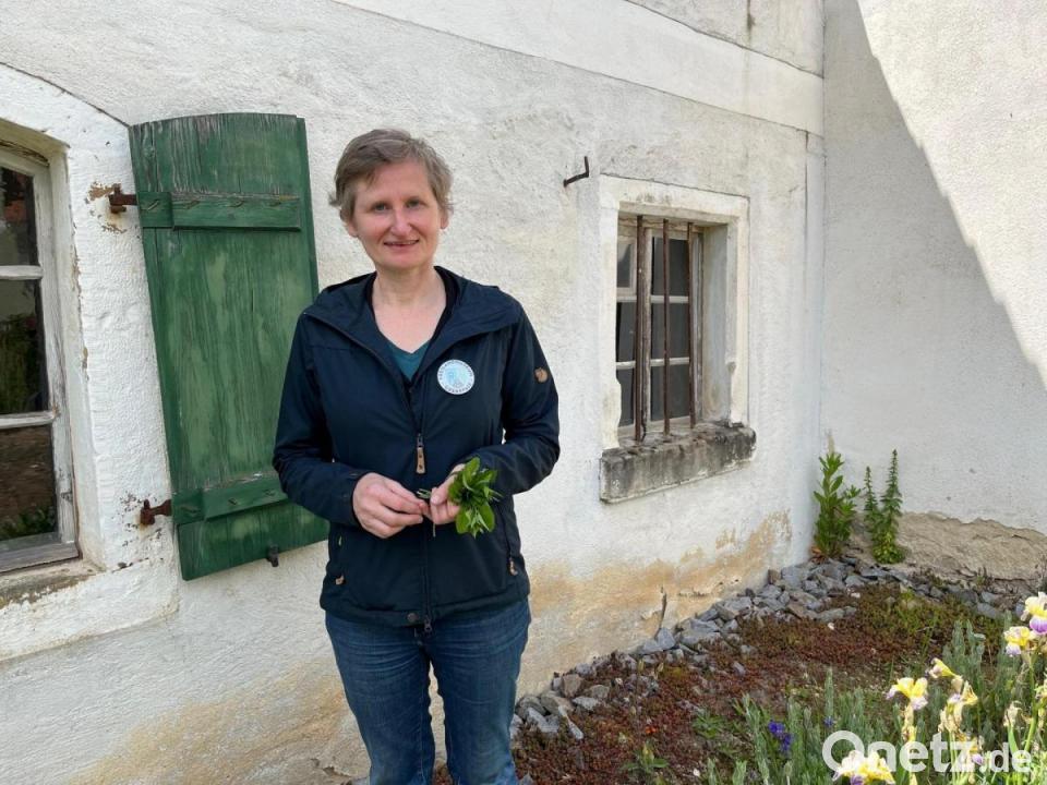Erfrischende Kräuterlimonade: Rezept für Sommergenuss ohne Zucker | Onetz