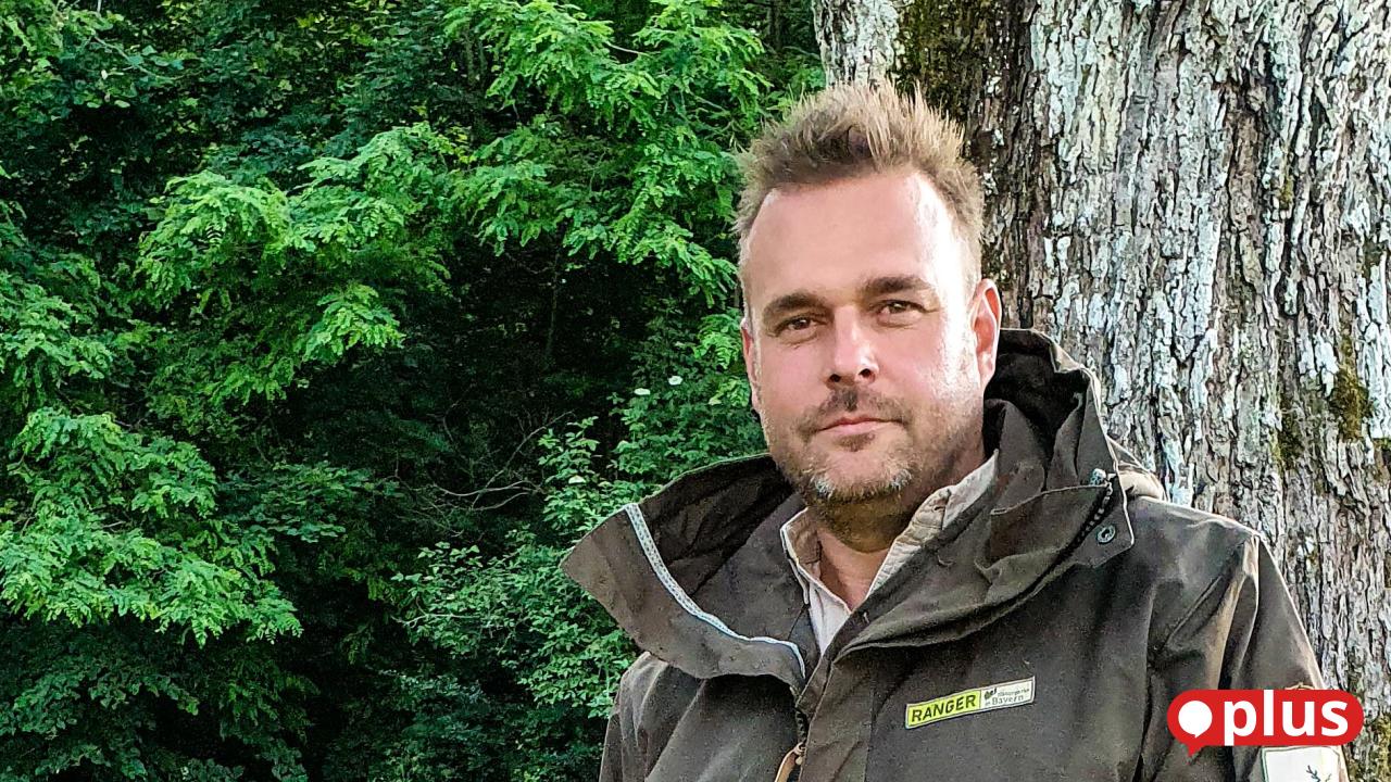 Ranger nach dem Vermissten-Fall Julia: „Der Wald selbst ist nicht ...