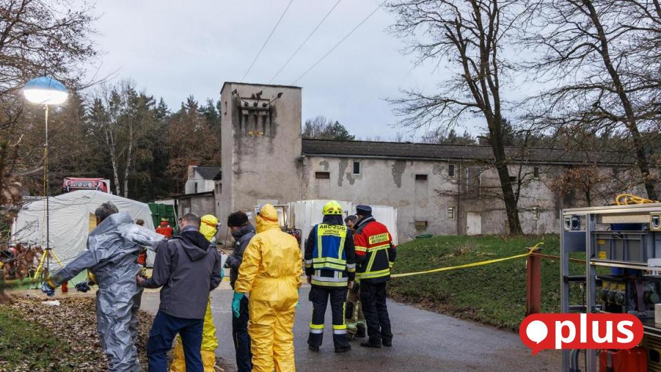 Geflügelpest festgestellt: Zehntausende Enten auf Hof bei Bruck müssen sterben | Onetz