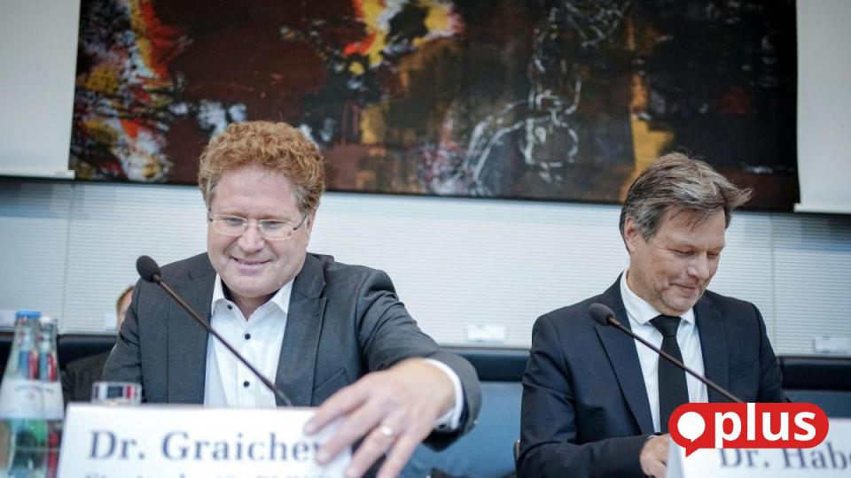 Meinung: Graichen geht, die Probleme bleiben | Onetz