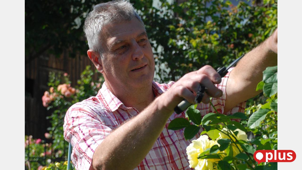 Neusorger Michael Riedl macht aus seinem Gemüse- einen Rosengarten | Onetz