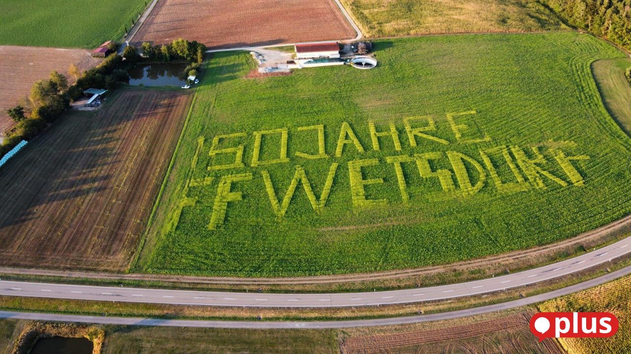 Einladung aus Senf: Landwirt sät Logo zum Feuerwehrfest auf Feld | Onetz