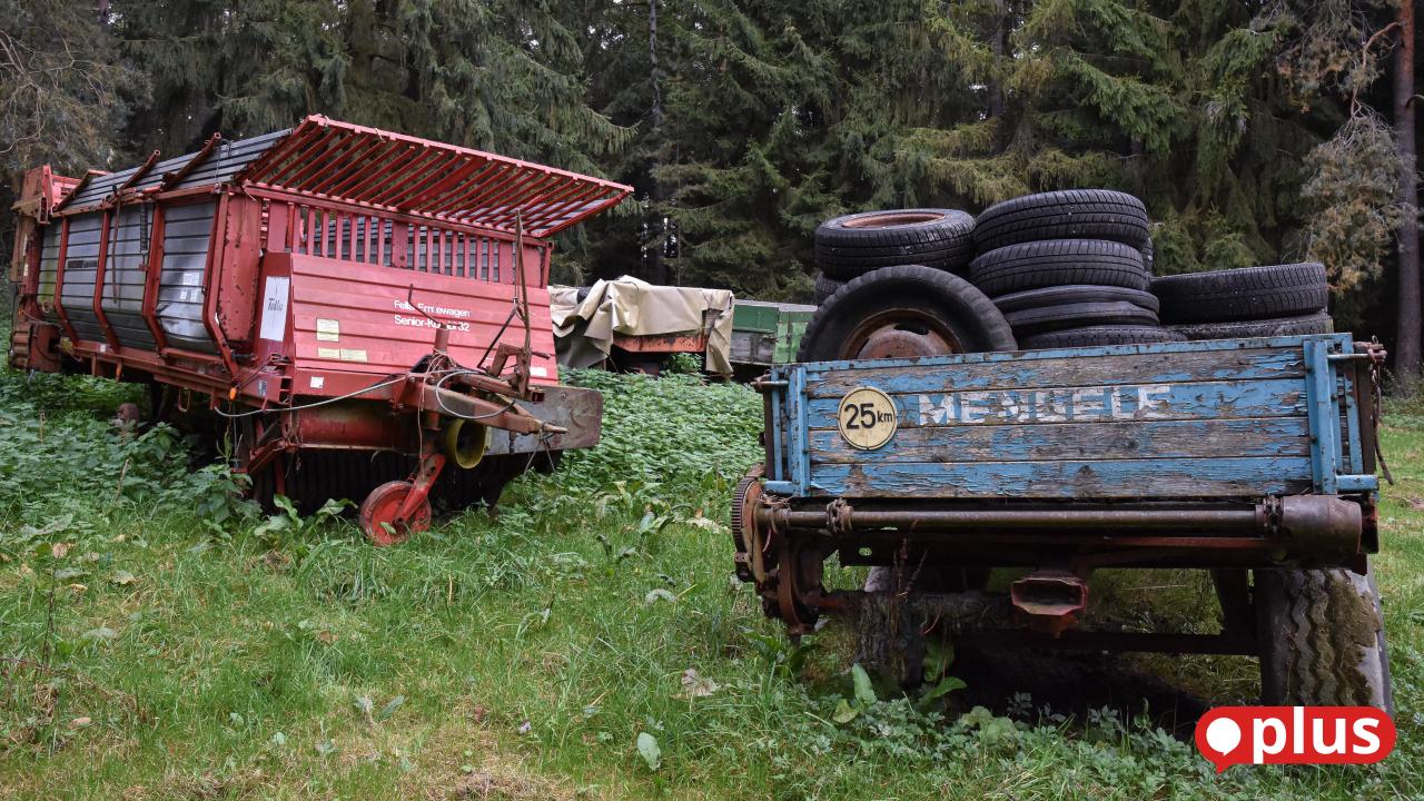 Nach einem Jahr wird der Müll im Wald bei Weickenricht weniger | Onetz