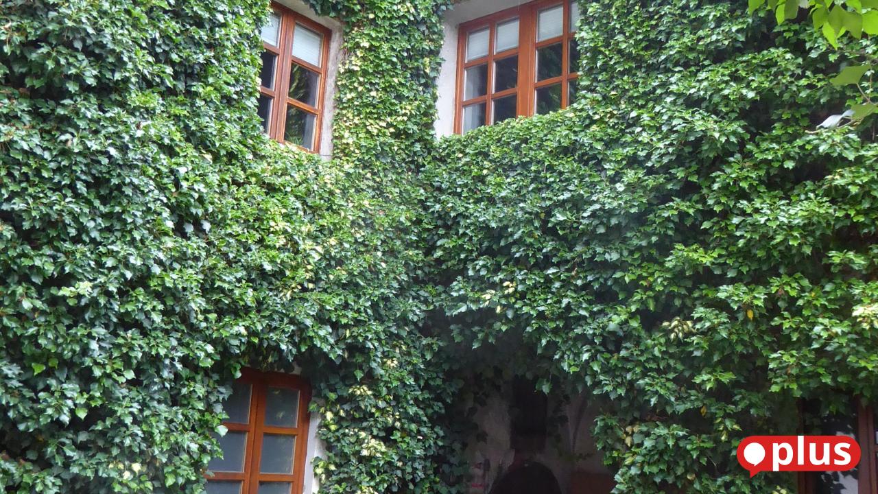 Anpassung der Stadt Sulzbach-Rosenberg an den Klimawandel: Peter Zahn ...