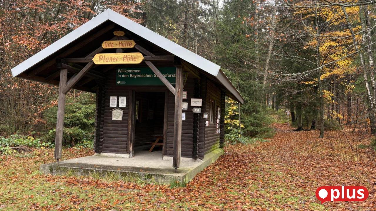 Geschichte digital erleben: Neue Tour an der Burgruine Schellenberg | Onetz