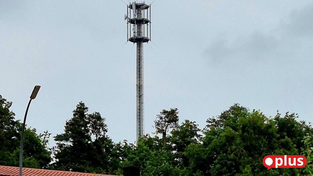 Verfahren um Funkmast in Traunricht: OLG Nürnberg prüft die nächsten ...