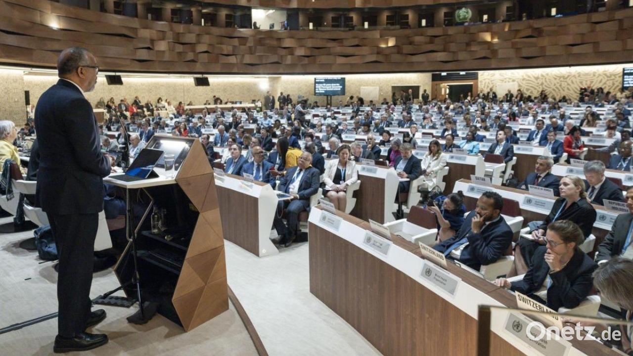 Albert Rupprecht im Haus der kleinen Füße: Sprechen über Sprache | Onetz