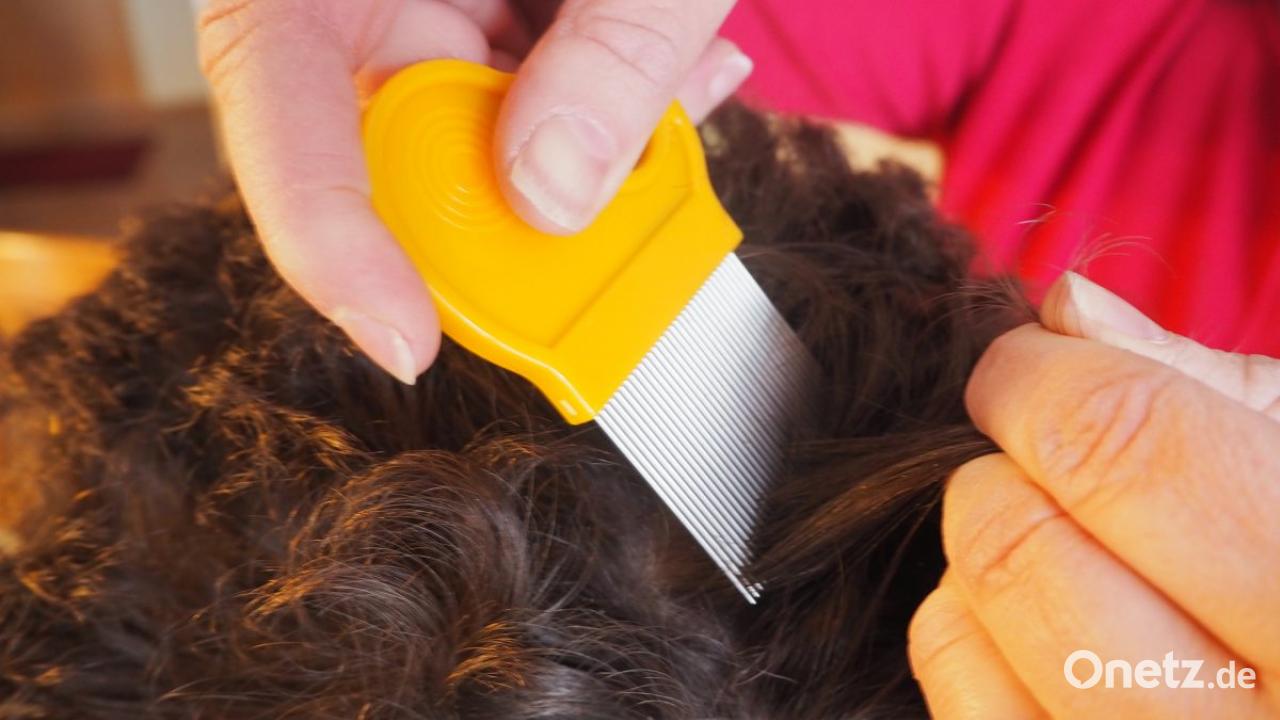 Blutsauger mit haariger Deckung | Onetz