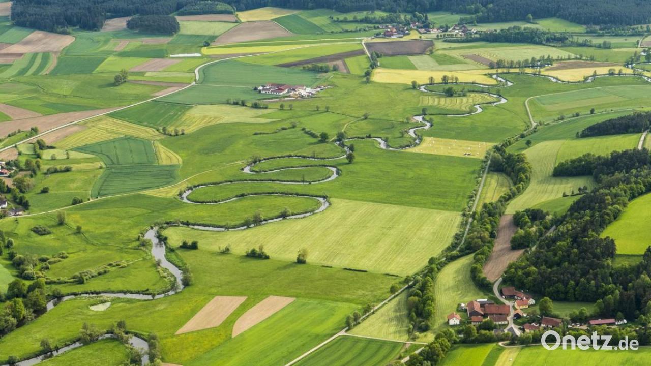 Wertvolle Naturschätze erhalten | Onetz