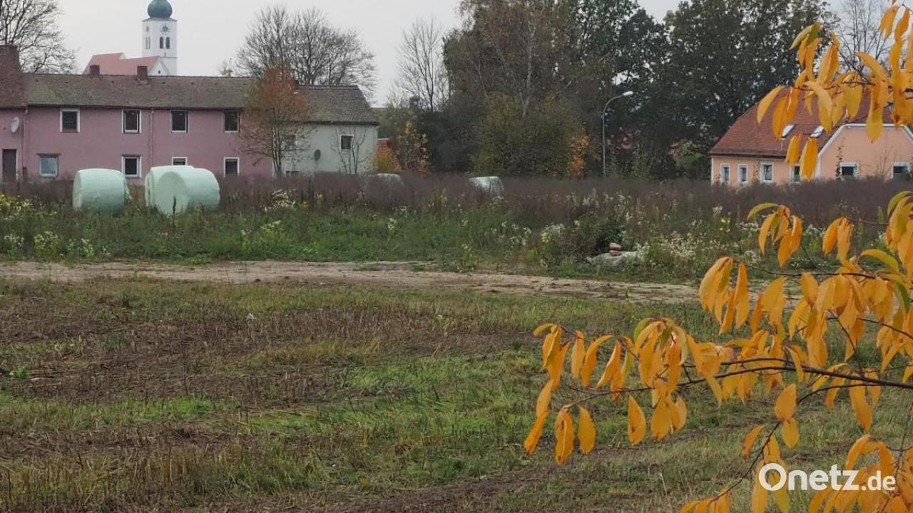 Mini-Kreisverkehr in der Kritik | Onetz