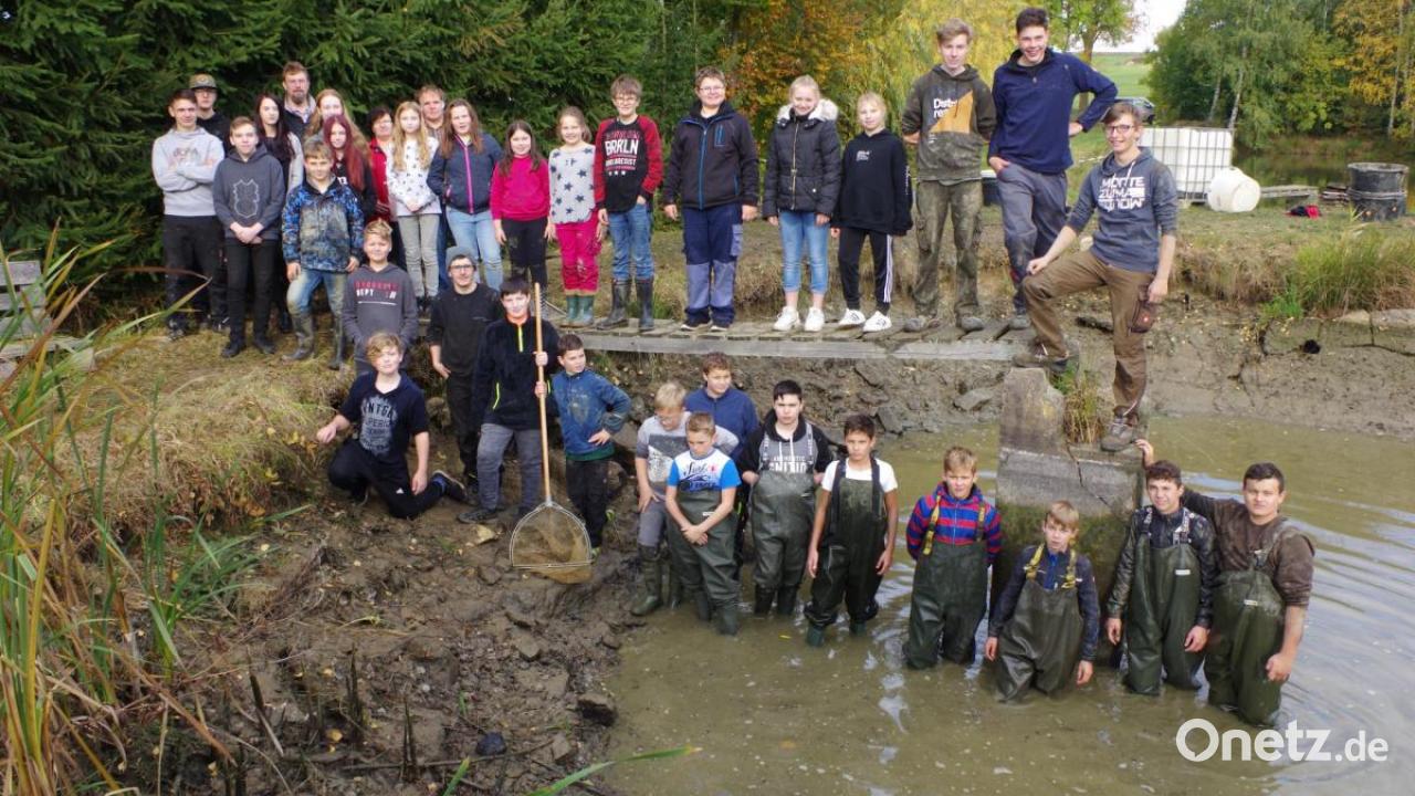 Karpfen, Rotfedern und Schleien | Onetz