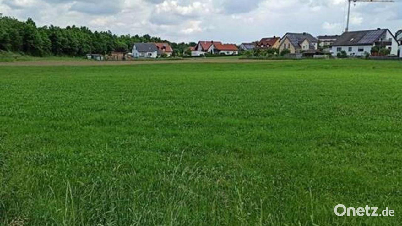 Marktgemeinde Freihung plant zwei neue Baugebiete | Onetz