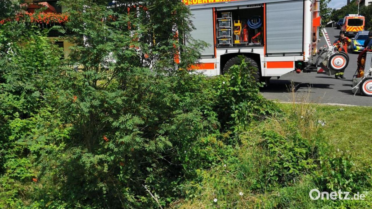 Motorradfahrer stürzt in Immenreuth Böschung hinab | Onetz