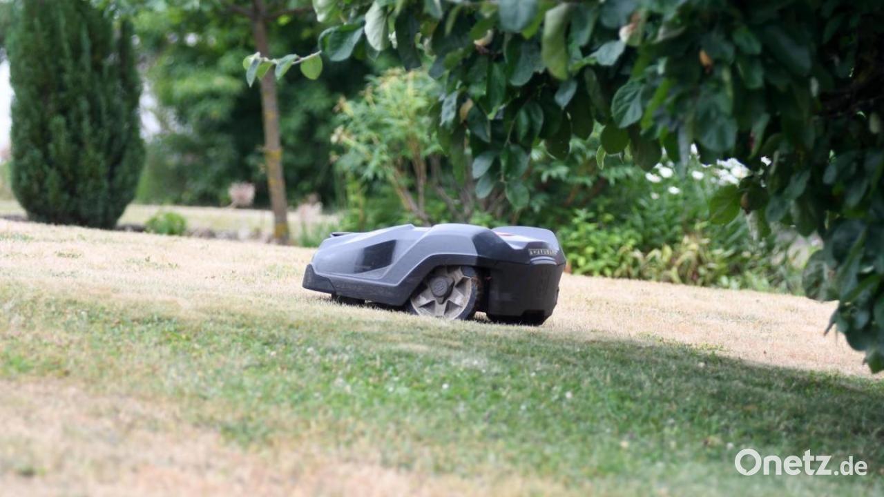 Dieb nimmt Mähroboter samt Kabel mit | Onetz