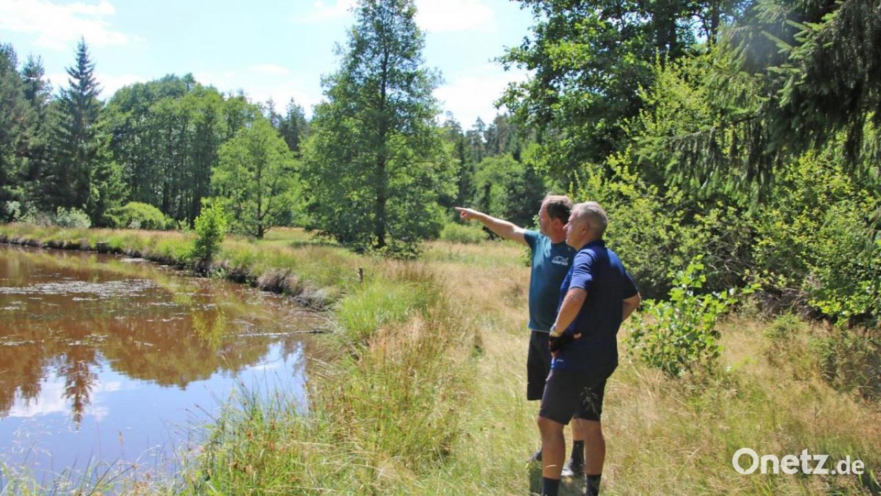Sorge um die Teichwirte im Landkreis Tirschenreuth | Onetz