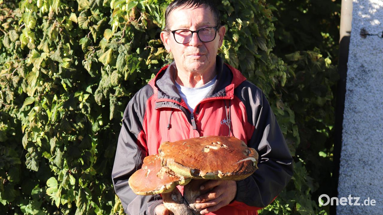 Hans Mayer findet Riesen-Steinpilz | Onetz