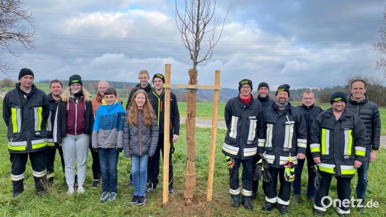 Vier Feuerwehren pflanzen Winterlinde für ihre gemeinsame Zukunft | Onetz
