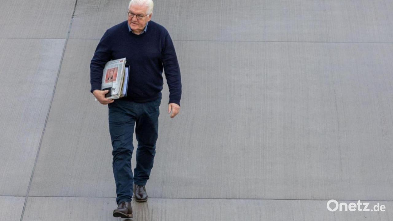 Steinmeier sagt Lula deutsche Unterstützung zu | Onetz