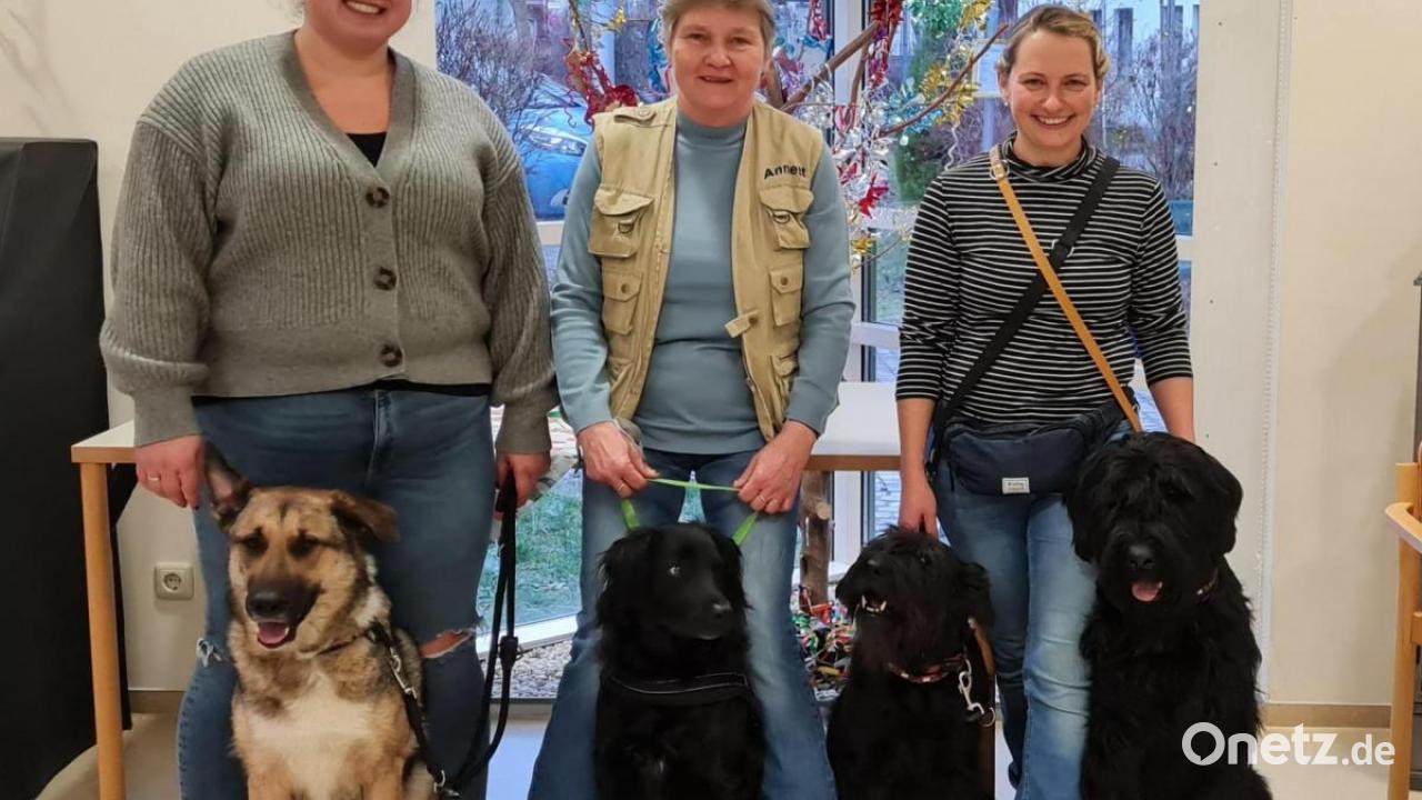 Weidener Zughunde bei den BRK-Senioren | Onetz