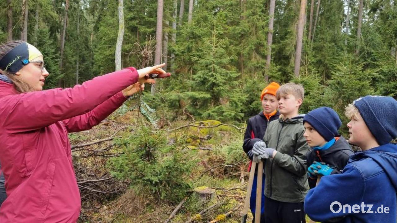 Wiederaufforstung im Schulwald bei Waldsassen | Onetz