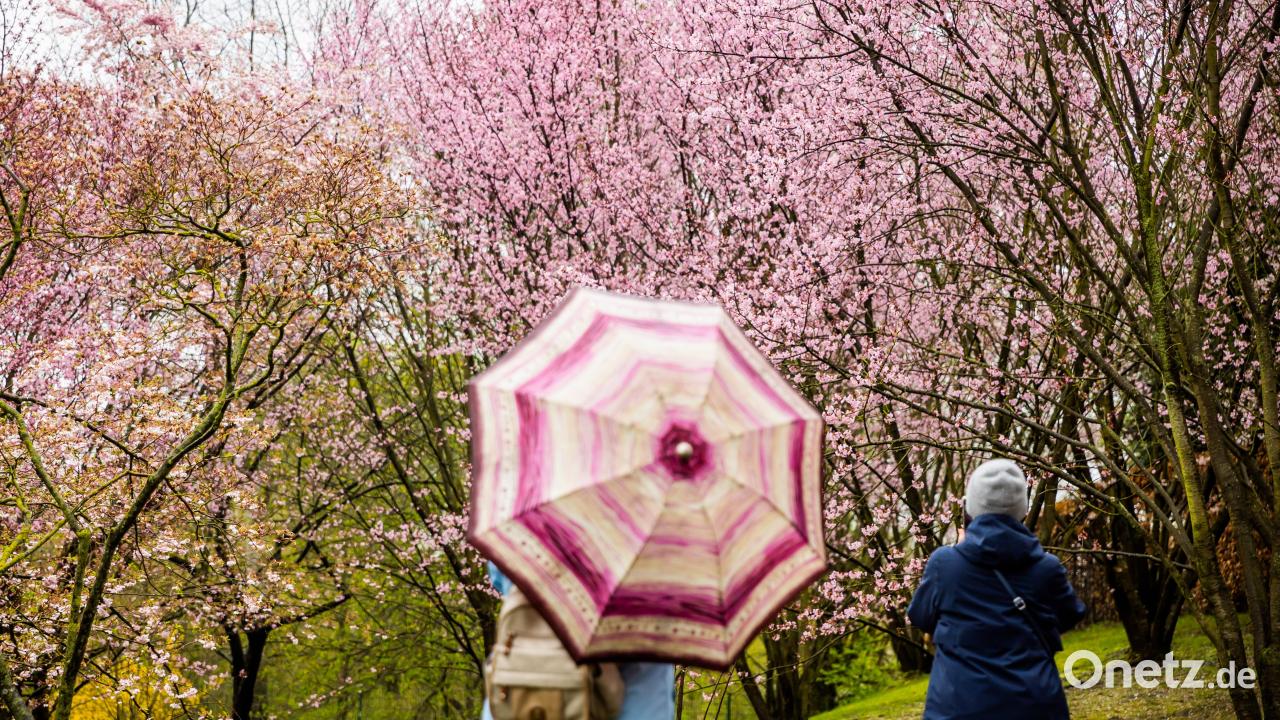 OWetter: Neues Tief und Kaltluft in der Oberpfalz | Onetz