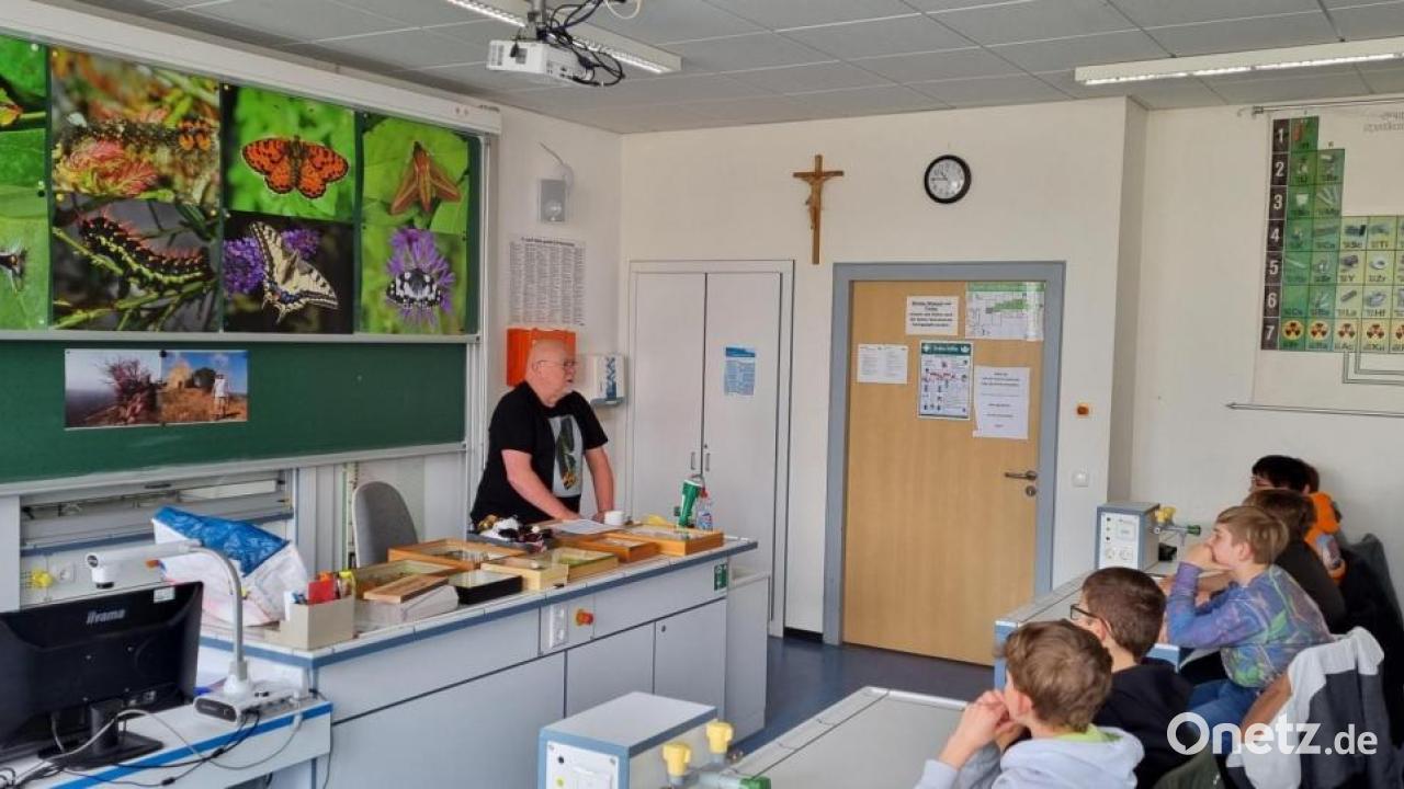 Insektenkundler in der Realschule im Stiftland in Waldsassen | Onetz