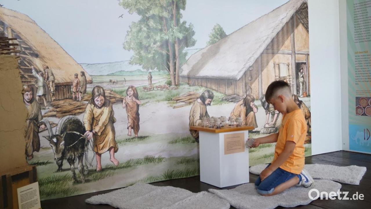 Ausstellung über das Leben in der Steinzeit in Pfreimd | Onetz