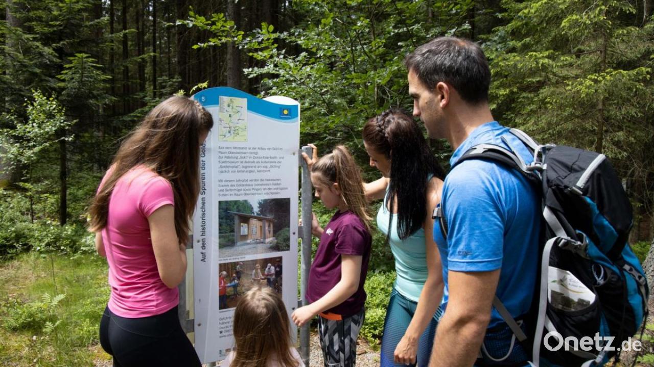 Mitmachen, entdecken und ausprobieren: Das Ferienprogramm macht es möglich | Onetz