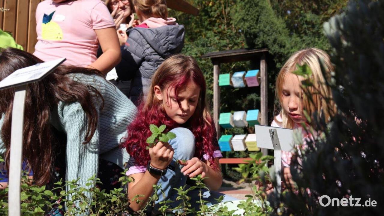 Aktionstage für neue Schülerinnen in der Umweltstation Waldsassen | Onetz