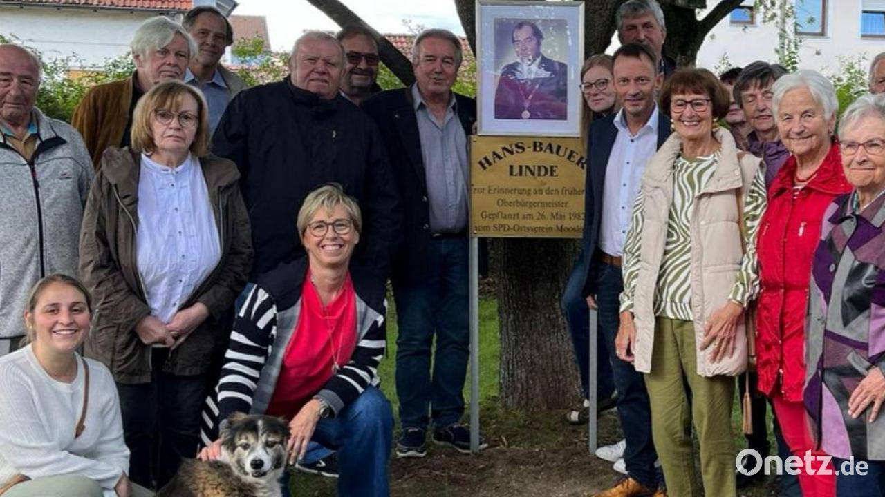 Gedenktafel für ehemaligen Oberbürgermeister Hans Bauer enthüllt | Onetz