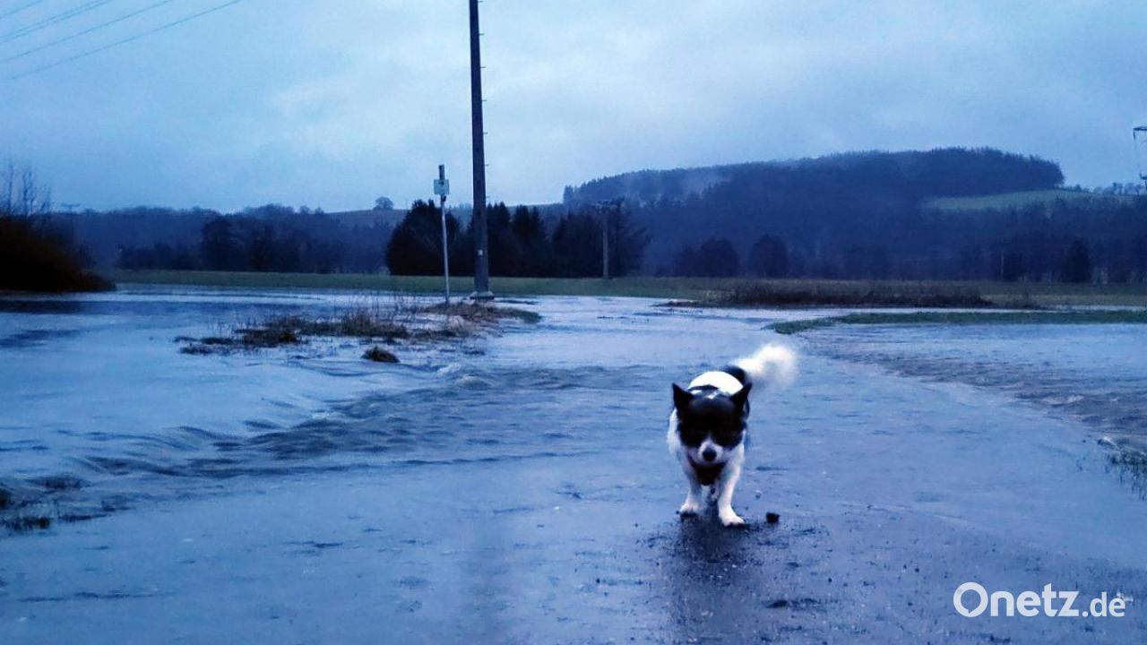 Dauerregen sorgt für Hochwasser in der Oberpfalz | Onetz